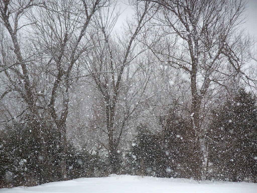 Snow – LogoSophia Magazine