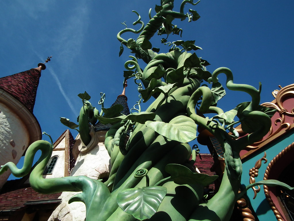 The Beanstalk – LogoSophia Magazine