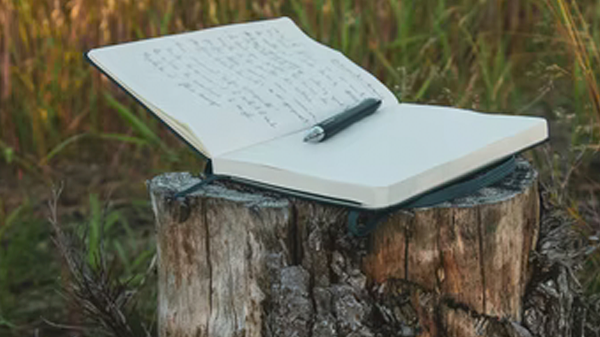 A Poetry Brawl at the Long Branch Saloon – LogoSophia Magazine